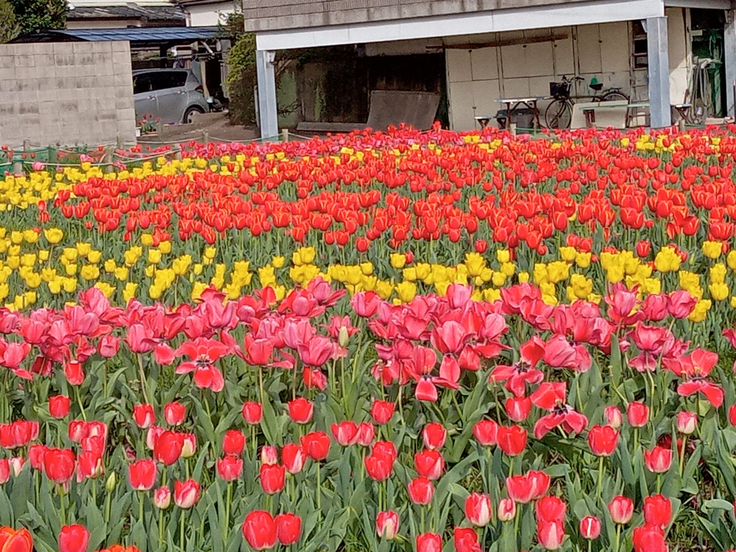 DSC_0695 | 内田隆英 日本共産党前長崎市議会議員